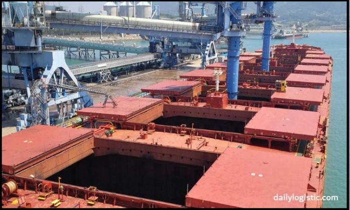 What is the Difference between Bulk and Break Bulk Cargo | Daily Logistics